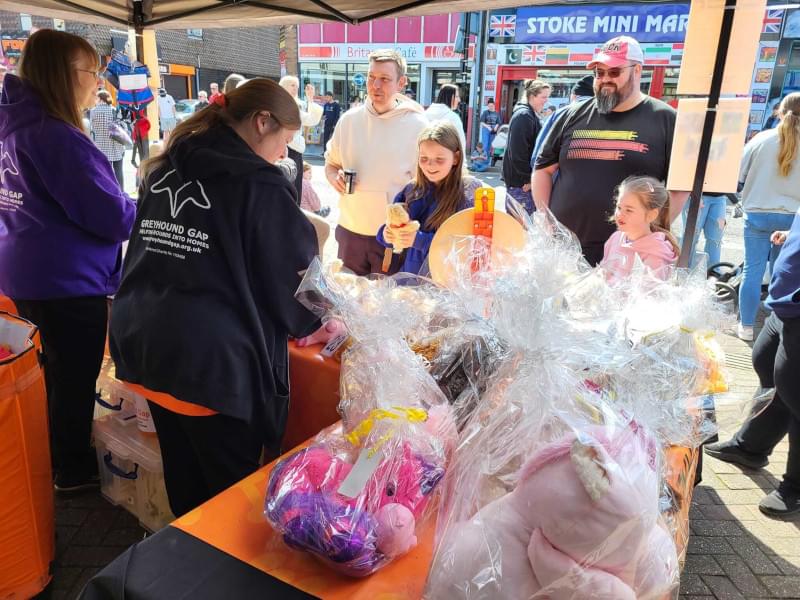 Greyhound Gap – Helping Hounds Into Homes